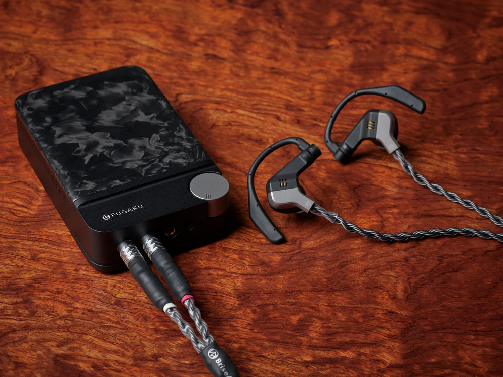 The Best High-End IEMs (Unlimited Budget) - Start of 2026 Edition ...