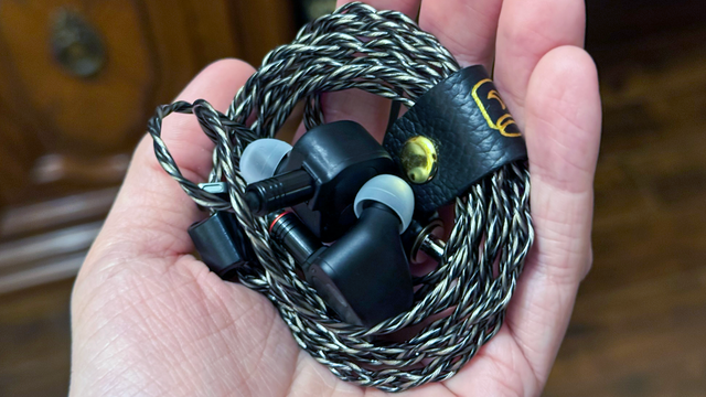 This IEM has +20 dB of subbass! Nightjar Duality First Impressions ...