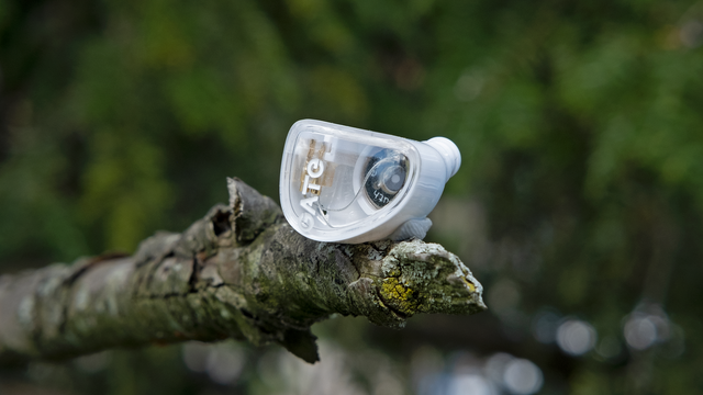 Truthear GATe - New Ultra-Budget King? – Headphones.com