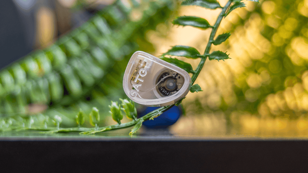 Truthear Zero: BLUE 2 - Upgrade Path from the Ultra-Budget ...