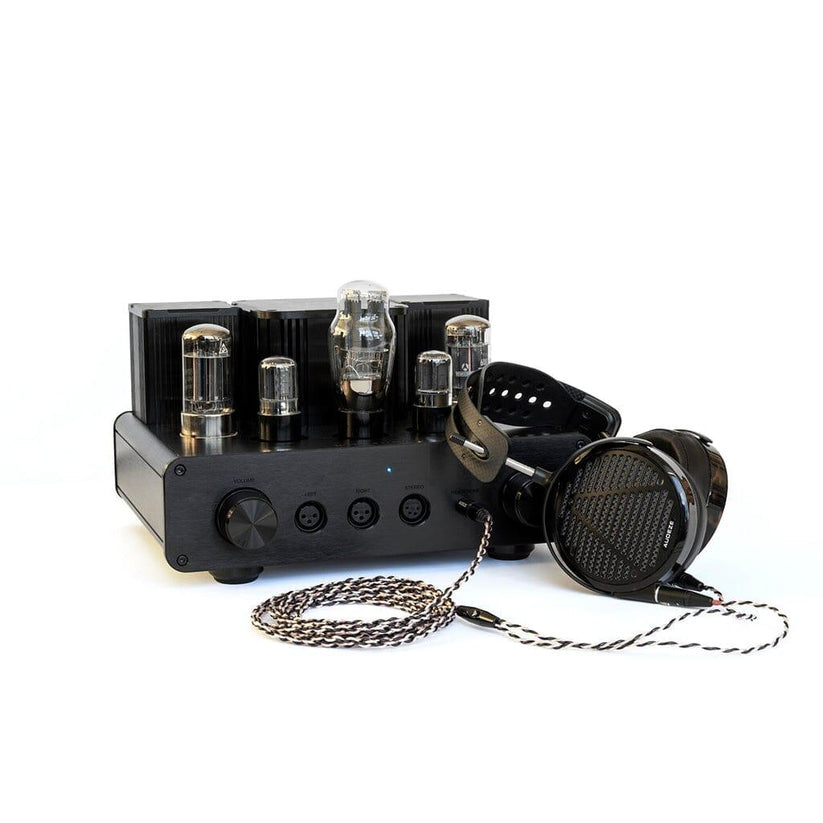 Woo Audio WA22 2nd Gen Fully-balanced Tube Headphone Amplifier ...